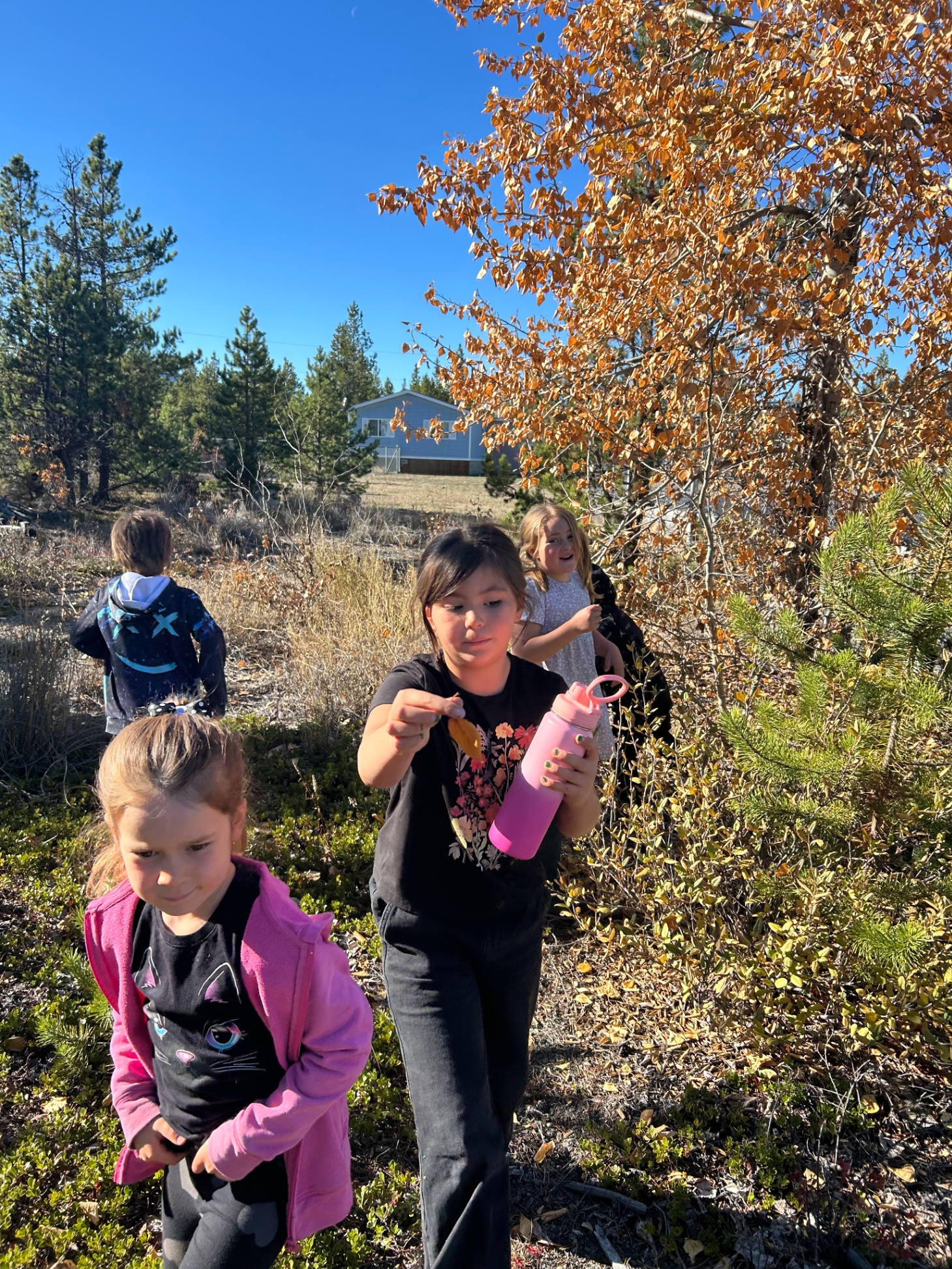 Fall Leaves Inspire Colourful Learning - Cariboo-Chilcotin School District