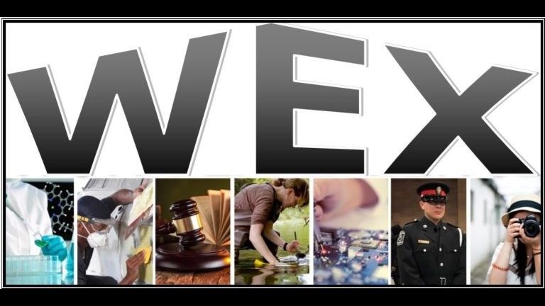 Work Experience (WEX)